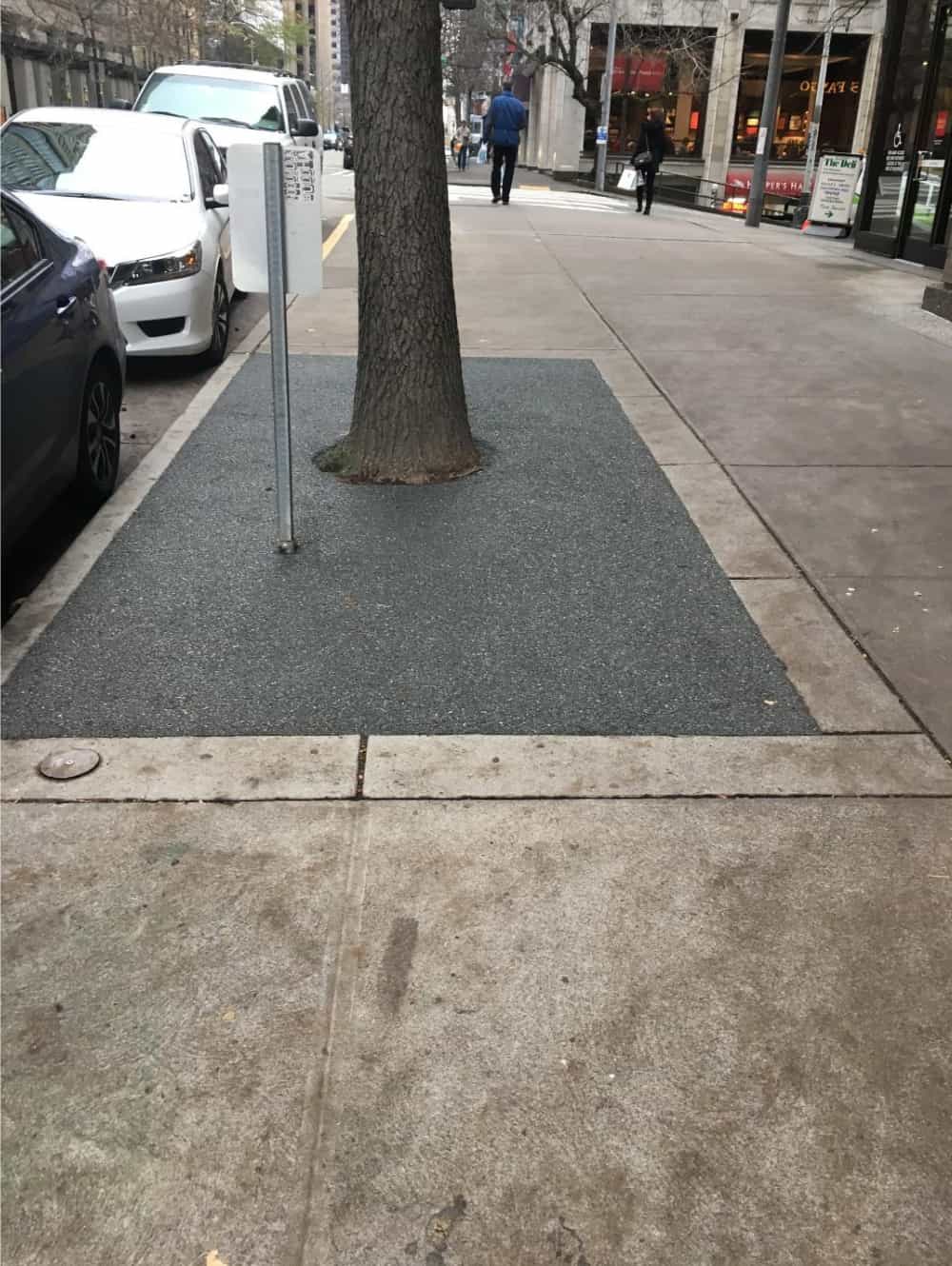 Tree Wells and Trip and Fall Accidents