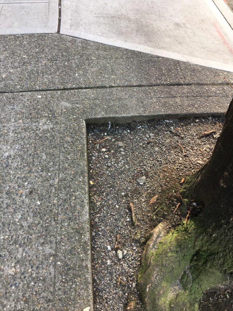 Tree Wells And Trip And Fall Accidents - Emerald Law Group